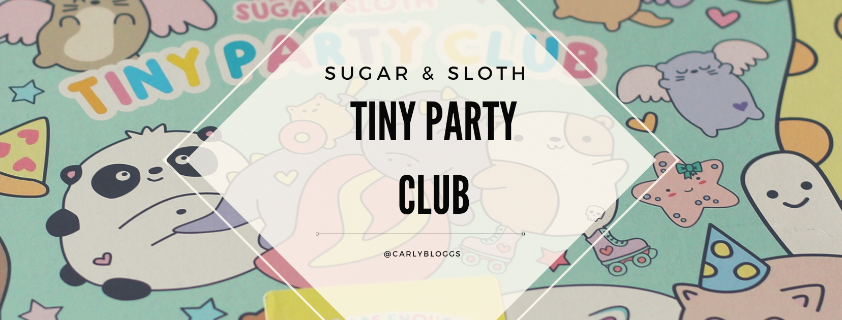 Sugar & Sloth Tiny Party Club Subscription Box - Carly Bloggs